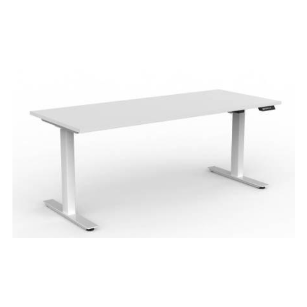 Ergo Electric Height Adjustable Desk - Ergoport