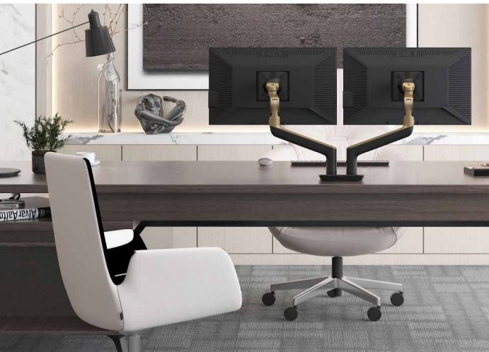 Fellowes Rising Monitor Arm – Ergoport